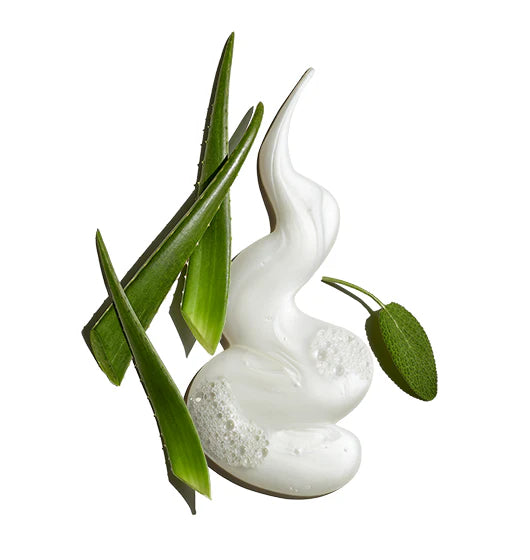 Pure Clean Daily Facial Cleanser - Aloe & Sage Leaf